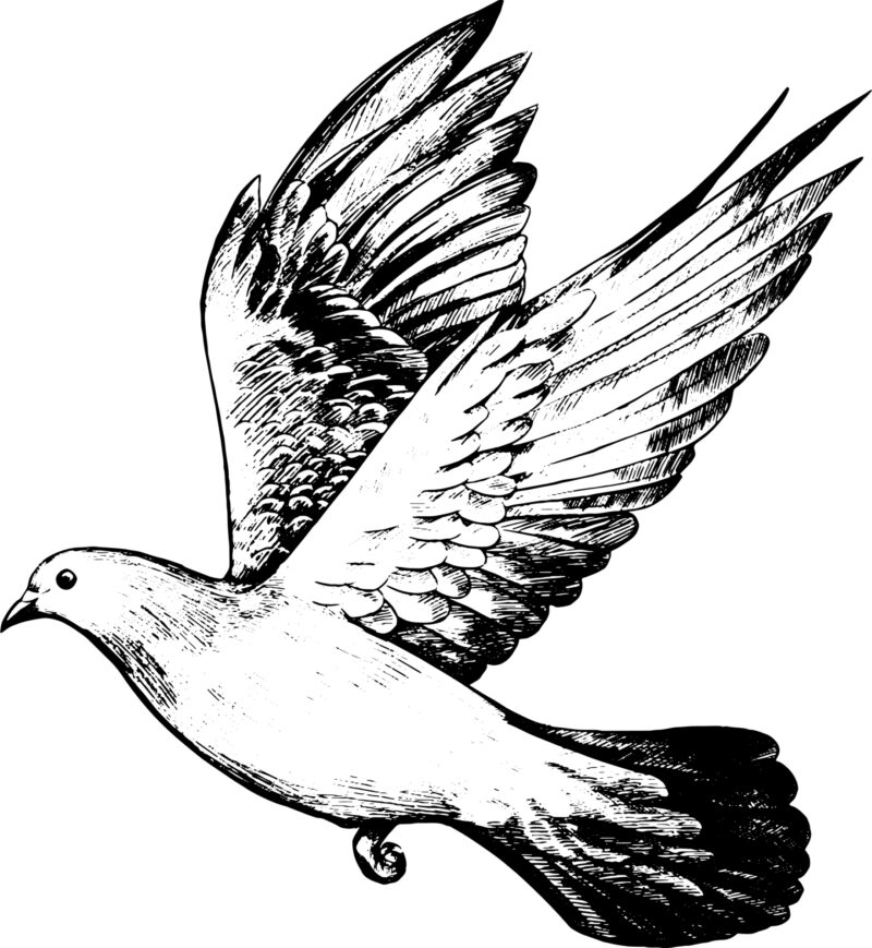 Obituary for Nick Purdy | G. Seller
