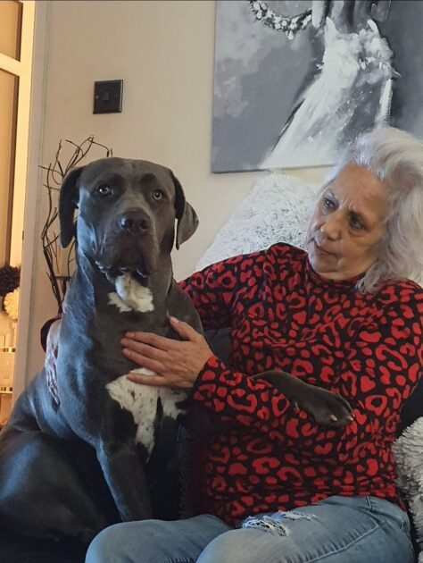 Obituary for Ann Good | G. Seller