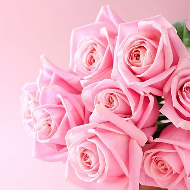 Obituary for Audrey Pearce | G. Seller