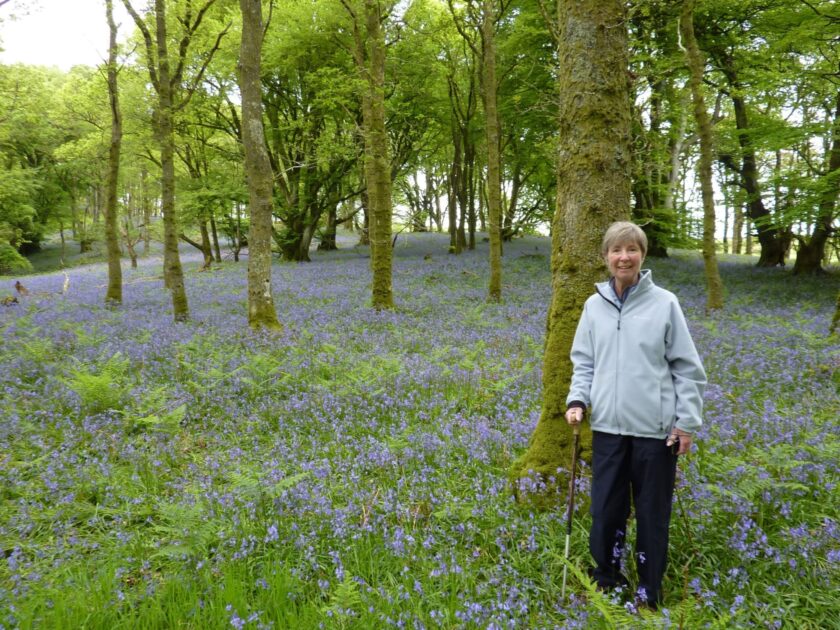 Obituary for Christine Elizabeth Whitmore(née Heath) | G. Seller