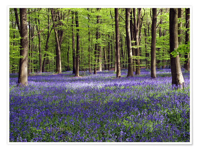 Obituary for Clive Barwell | G. Seller