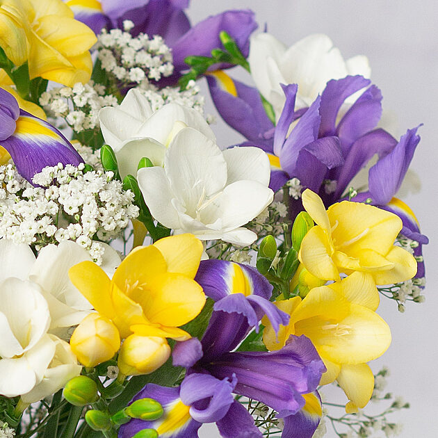 Obituary for Isabella Butler "Bella" | G. Seller