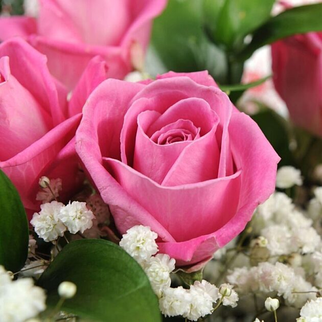 Obituary for Jean Manley | G. Seller