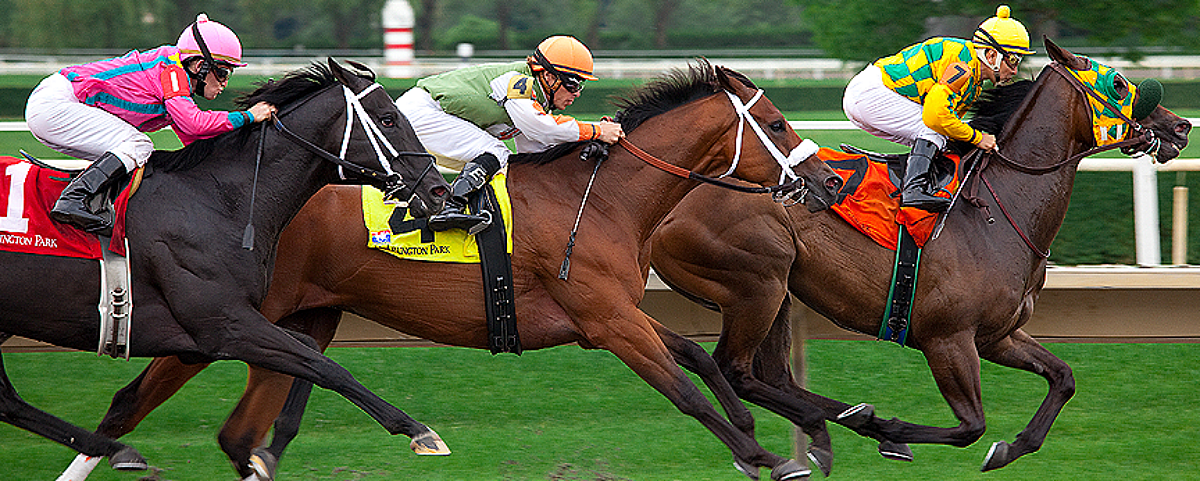 Obituary for Ronald Crisp | G. Seller